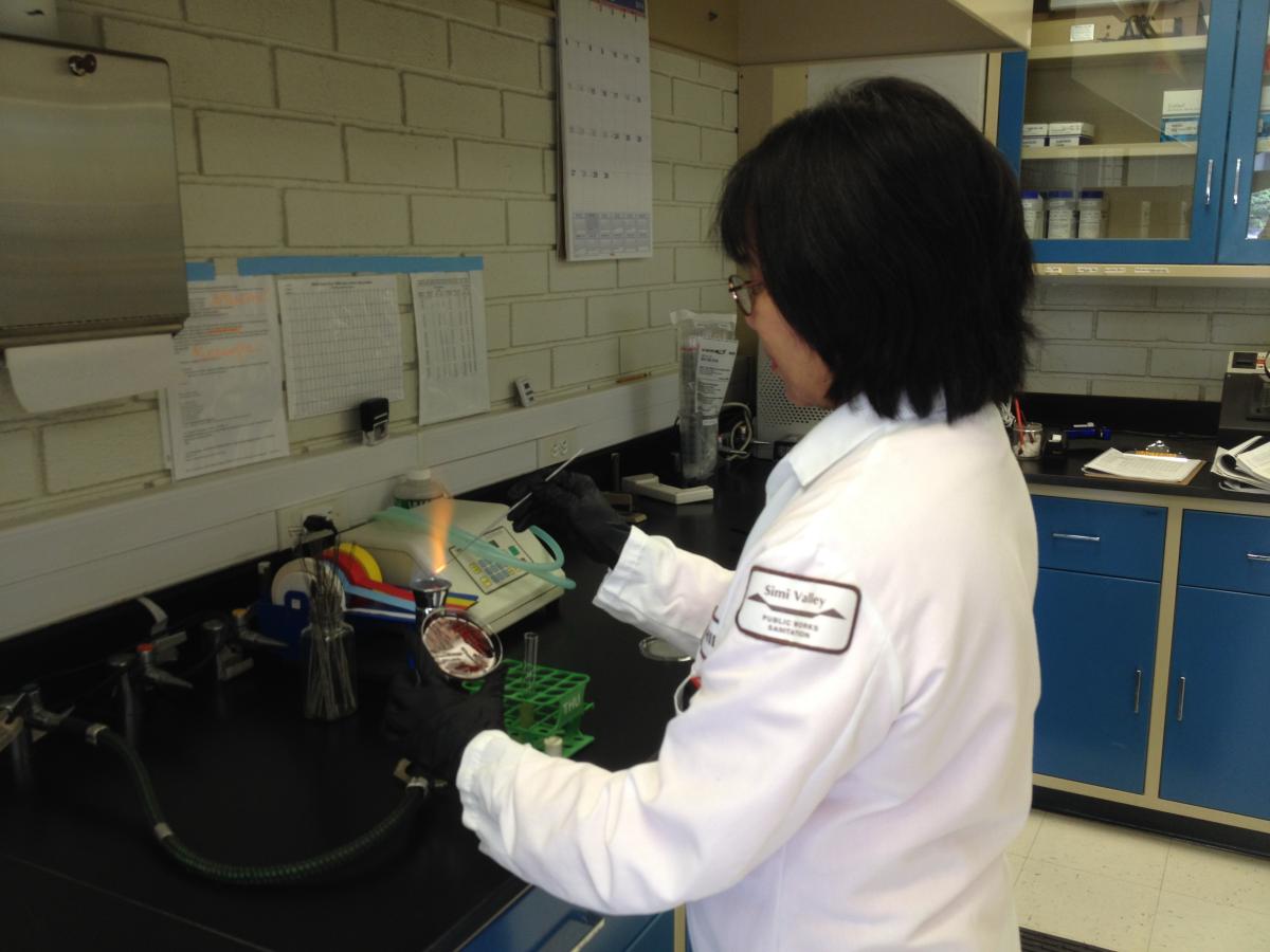 Search Jobs | Page 3 | CalOpps